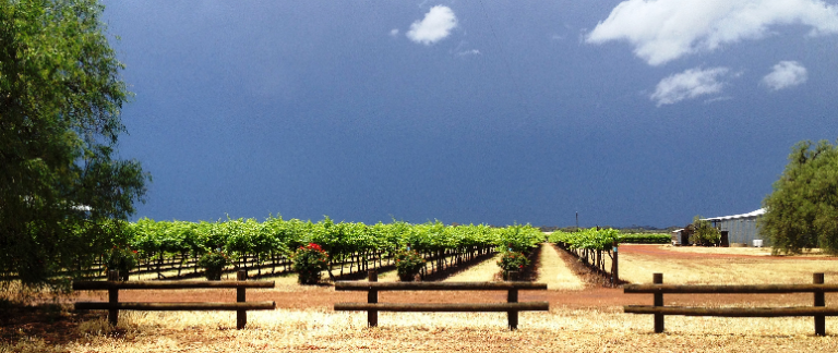 Introducing our new Victorian vineyard - Kingston Estate